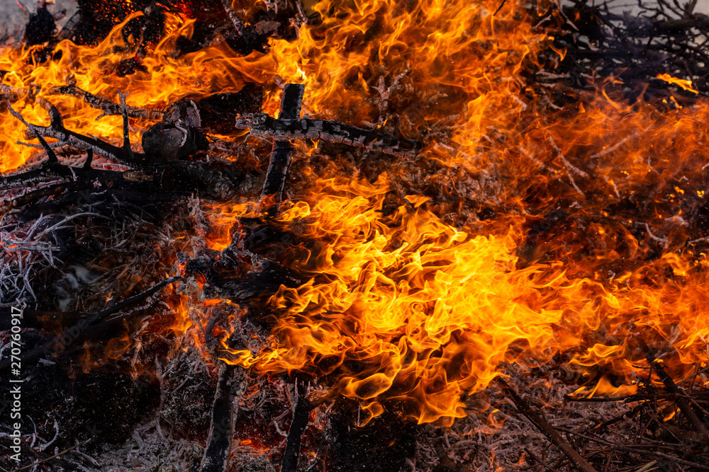 Flaming fire. Burning tree branches. Pagan rite dedicated to the ...