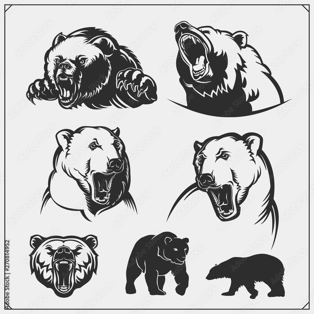 Grizzly bear, polar bear, brown bear silhouettes and illustrations ...