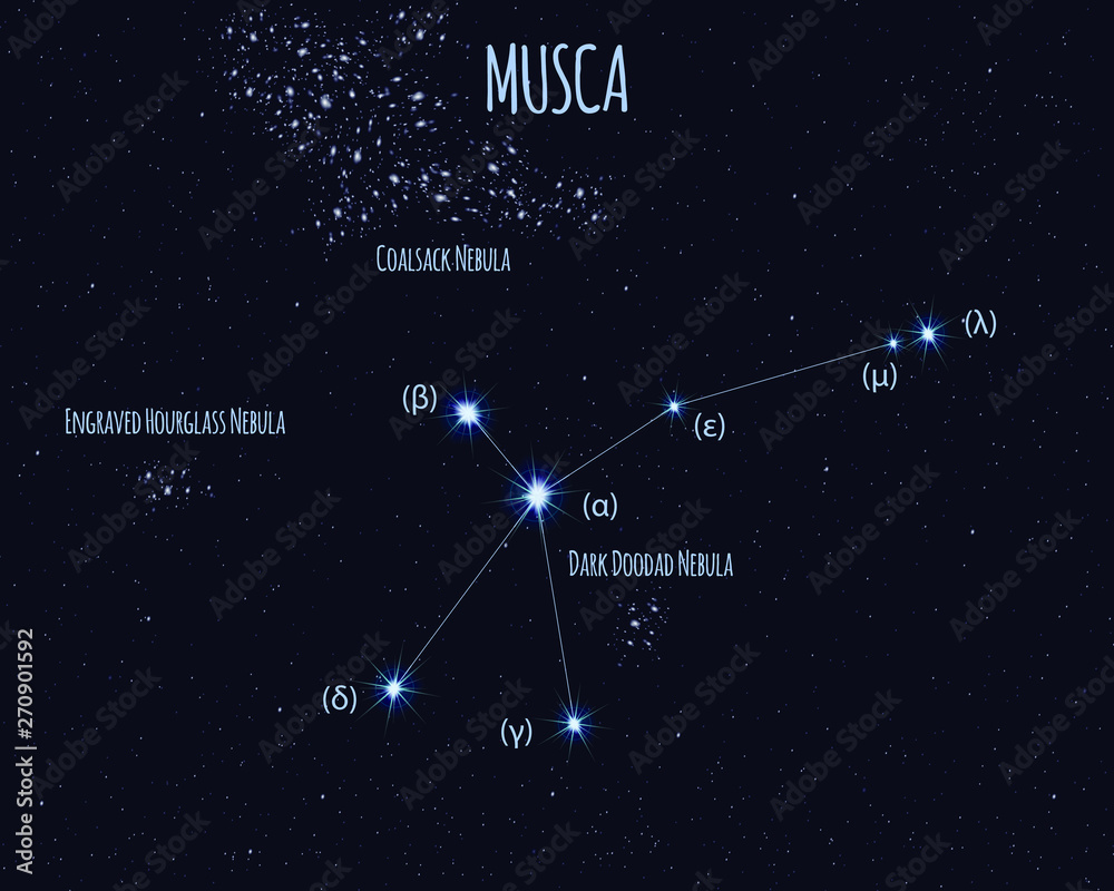 Musca Constellation