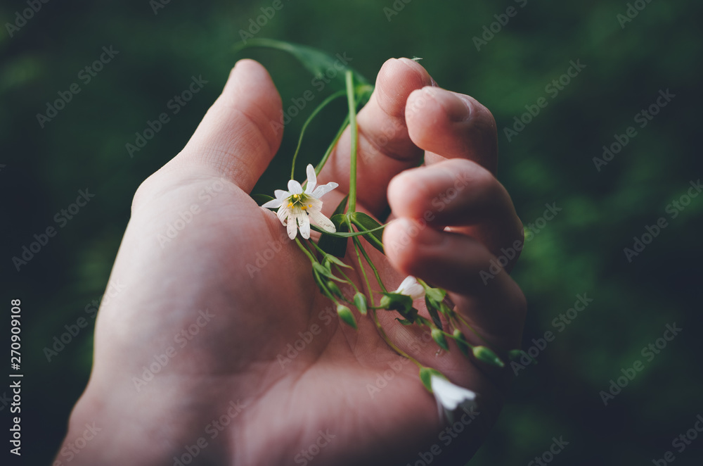 Hand Holding Flower In Palm