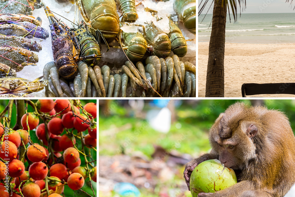 vacation by the sea. asia exotic set of images. pan fisherman shrimp ...