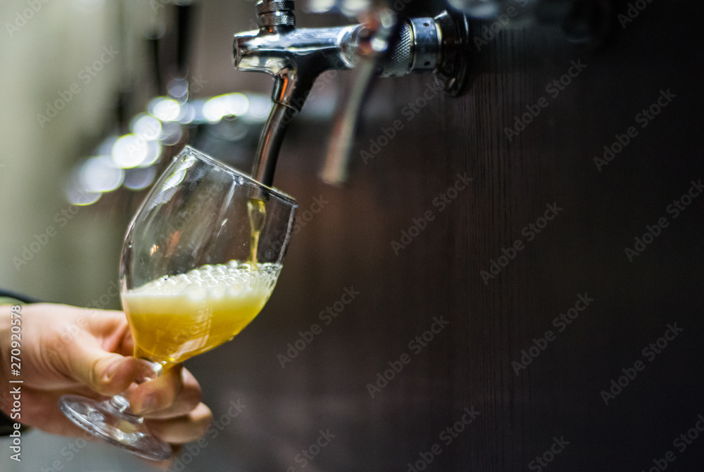 bartender hand at beer tap pouring a draught beer in glass serving in a ...