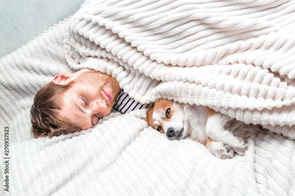 owner is resting with his dog in bed under a blanket. White background ...