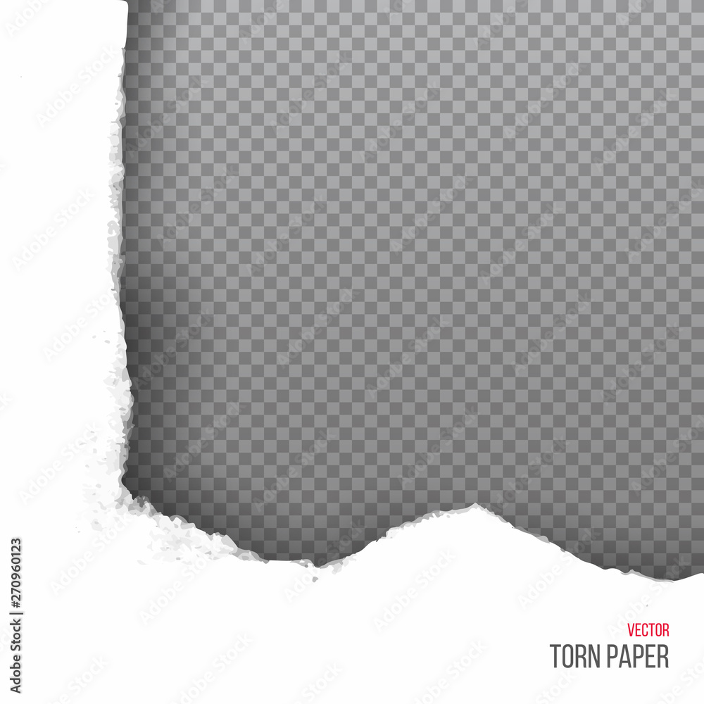 Realistic torn white corner of paper isolated on transparent background ...