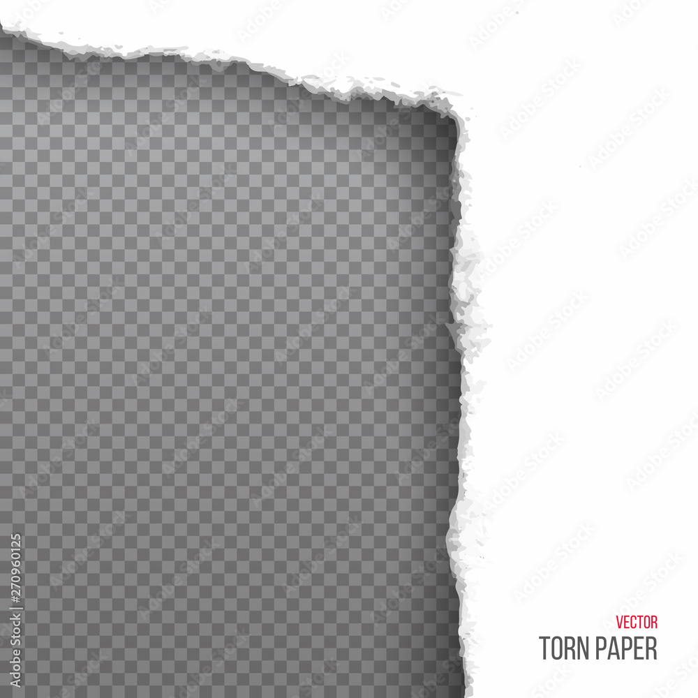 Realistic torn white corner of paper isolated on transparent background ...