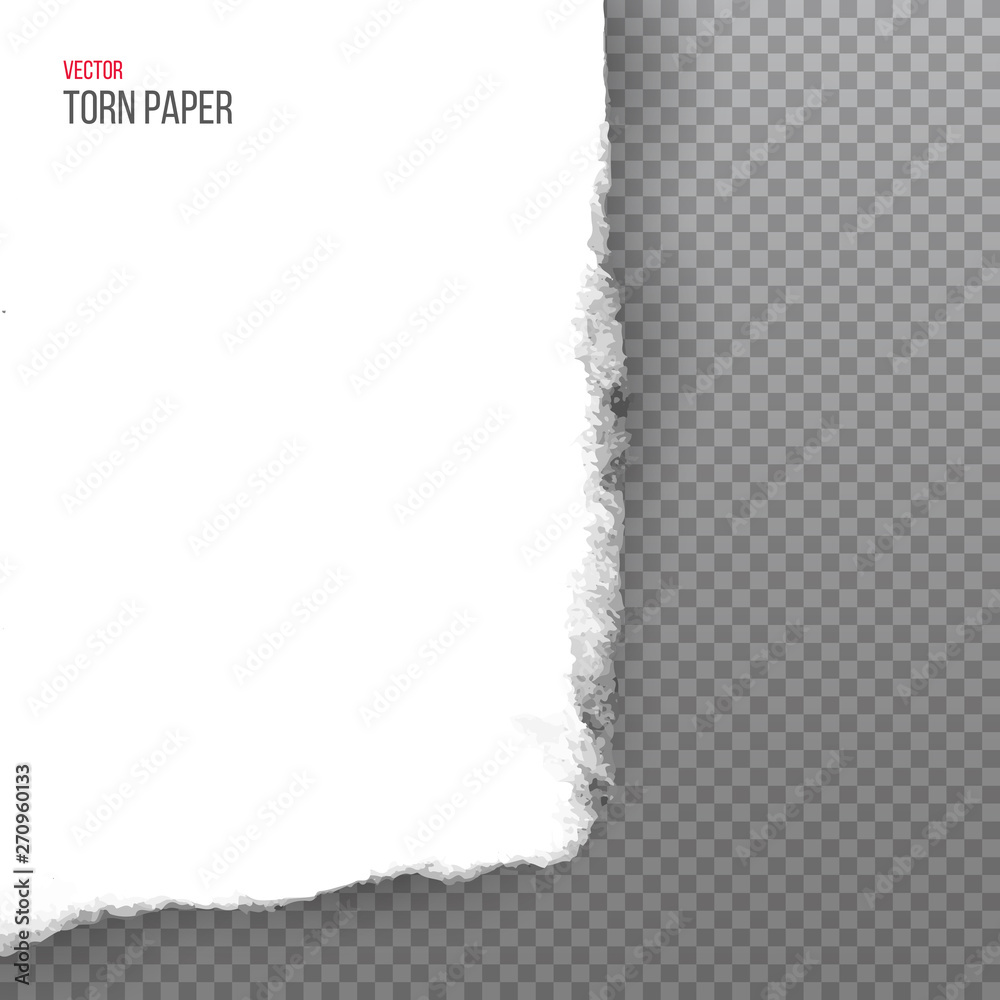 Realistic torn white corner of paper isolated on transparent background ...