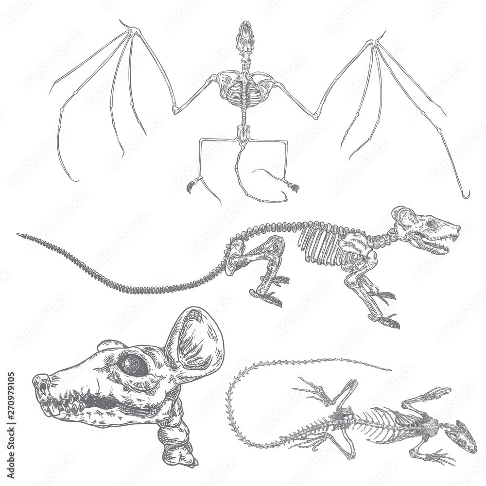 Alchemy symbol elements set. Spirituality, occultism and chemistry ...