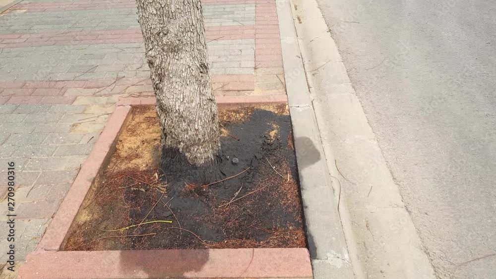 Big black spot of engine oil pollution around a foot of tree. Used ...