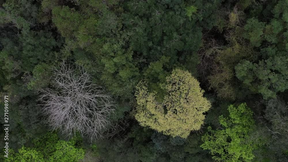 Vídeo do Stock: The Cubilla cave, Cueva de La Cubilla, Spring, La ...