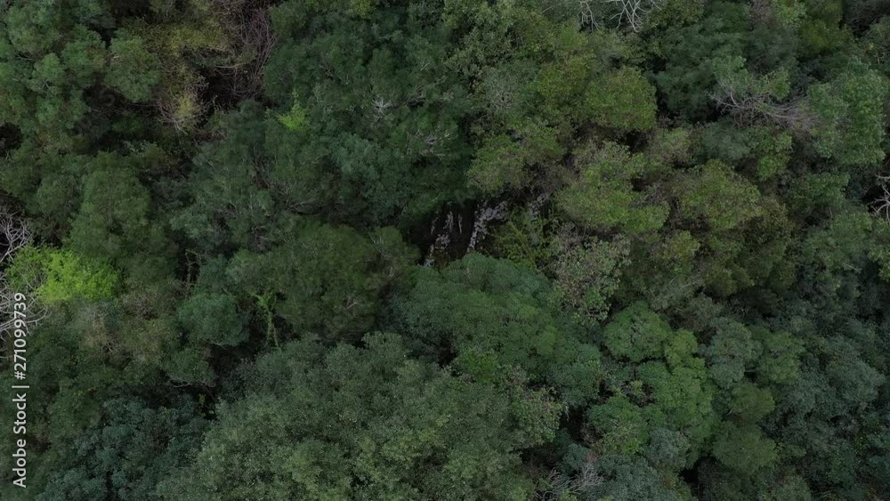 The Cubilla cave, Cueva de La Cubilla, Spring, La Cubilla, Samano ...