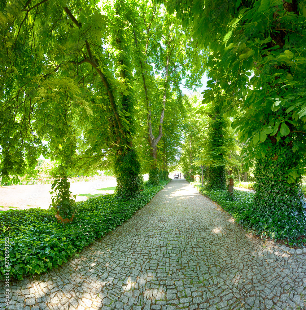 WROCLAW, POLAND - MAY 30, 2019: Botanical Garden in Wroclaw, Poland ...