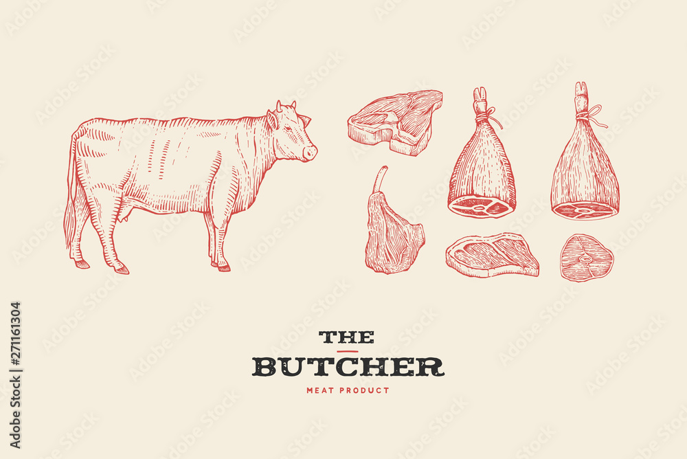 Set vintage hand-drawn different cuts of meats and cow. Engraving ...