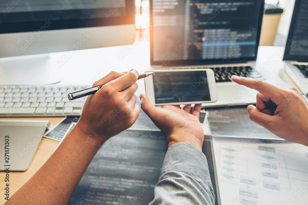 Developing programmer Team Development Website design and coding ...