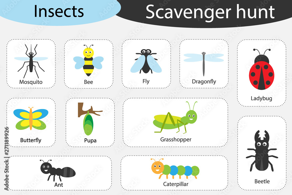 Scavenger hunt, insects theme, different colorful pictures for children ...