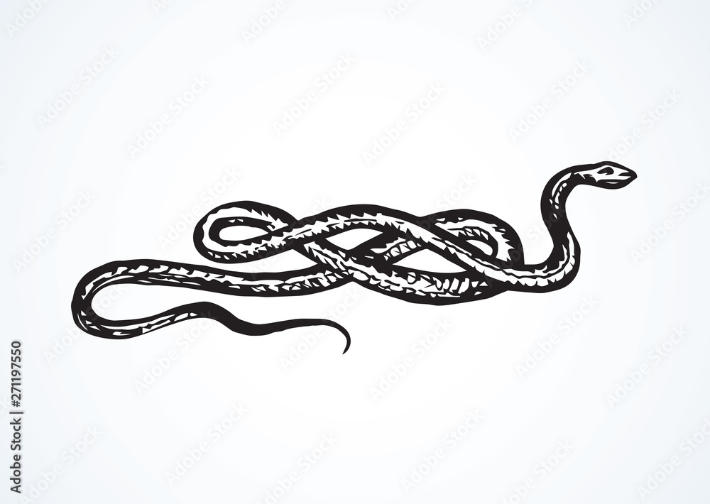 Snake. Vector drawing Stock Vector | Adobe Stock