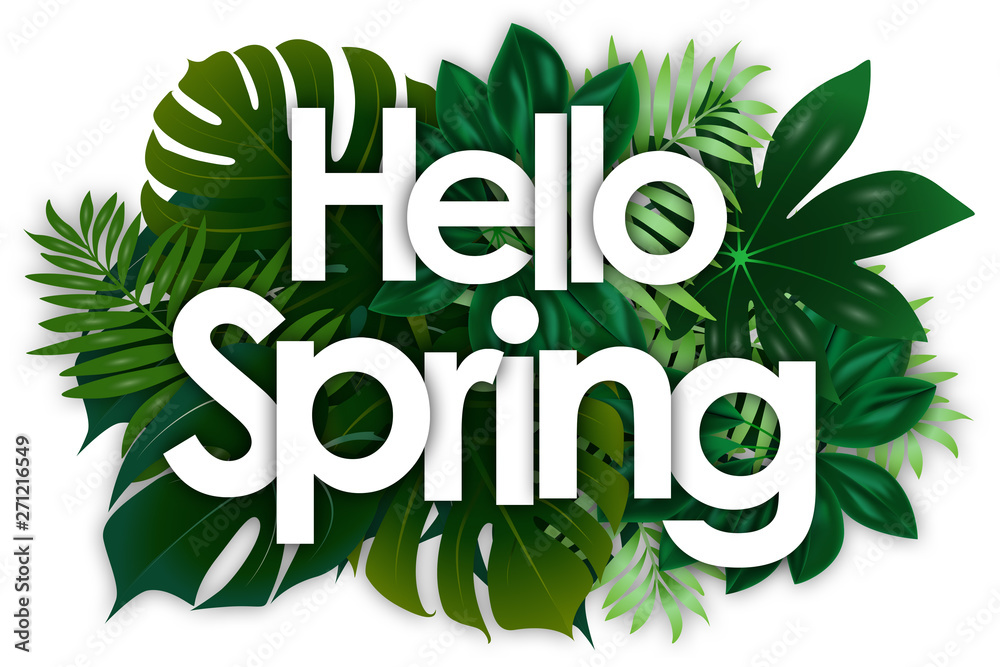 Hello Spring word and green tropical’s leaves background Stock ...