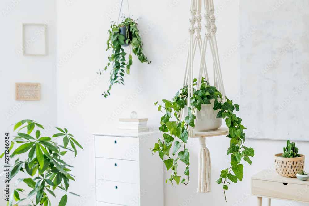 Stylish and minimalistic boho interior with crafted and handmade ...