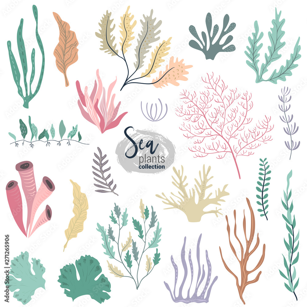 Vector collection of colorful underwater ocean coral reef plants Stock ...