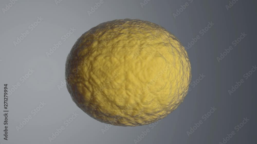 3D rendered Animation of the Mitosis of a cell aka the cell division ...