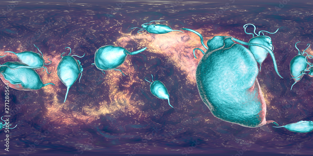 Trichomonas vaginalis protozoan, 360-degree spherical panorama view, 3D ...
