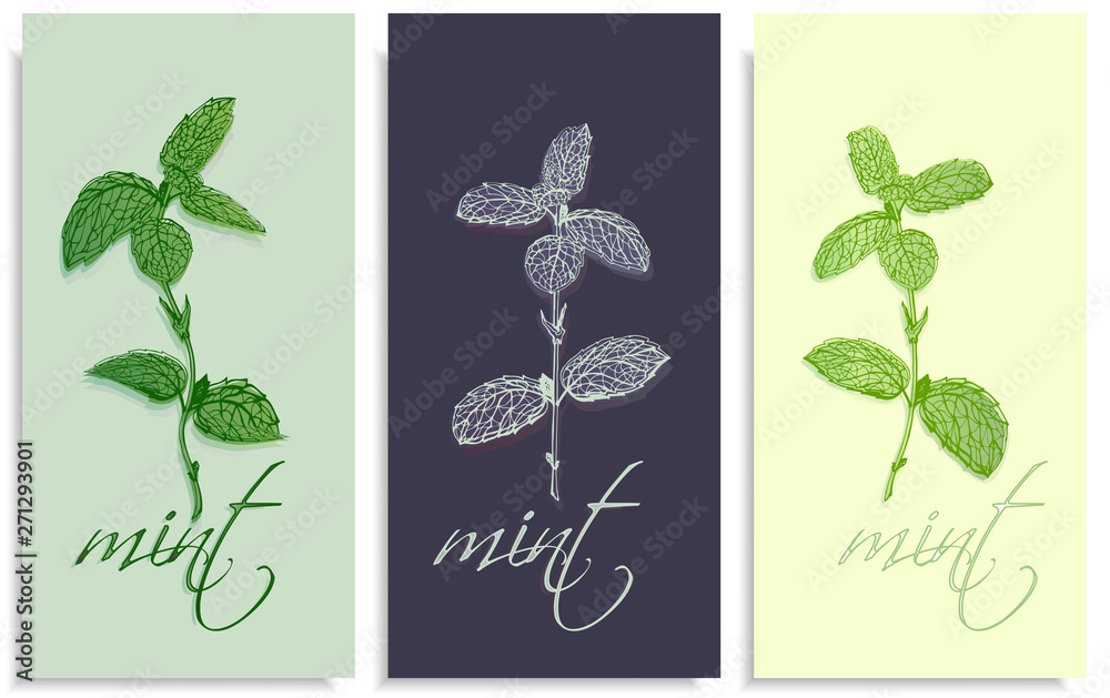 Vector set of postcards templates, invitation with hand-drawn graphics ...