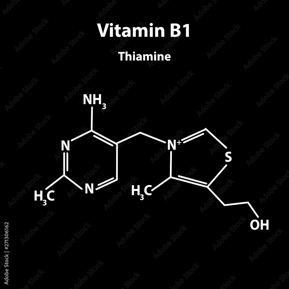 Vitamin B1. Thiamine Molecular chemical formula. Infographics. Vector ...