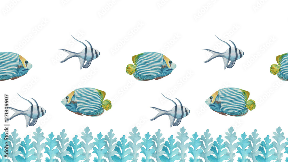 Royal angelfish and angelfish. Horizontal seamless pattern with ...