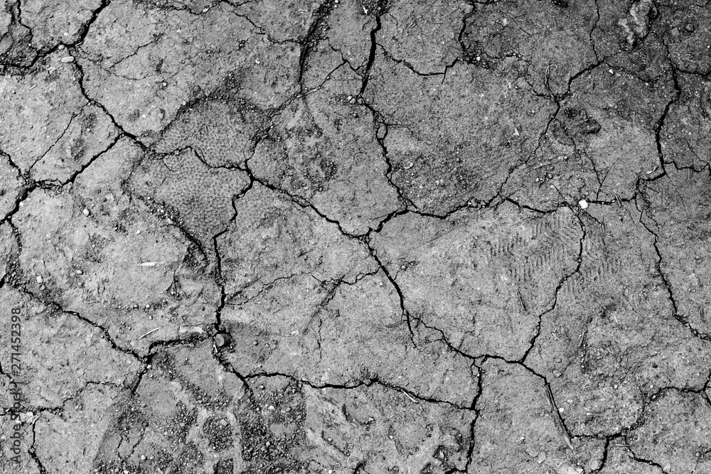 Poster cracked earth, erosion, cracks in the soil plane, drought – Wall ...