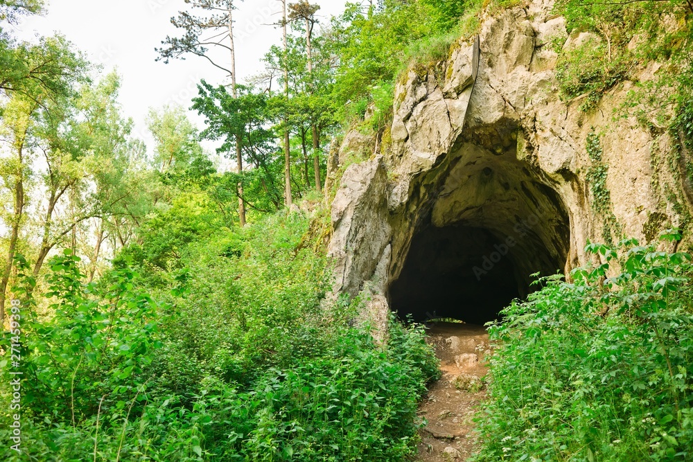 Entrance to natural cave in the forrest Stock Photo | Adobe Stock