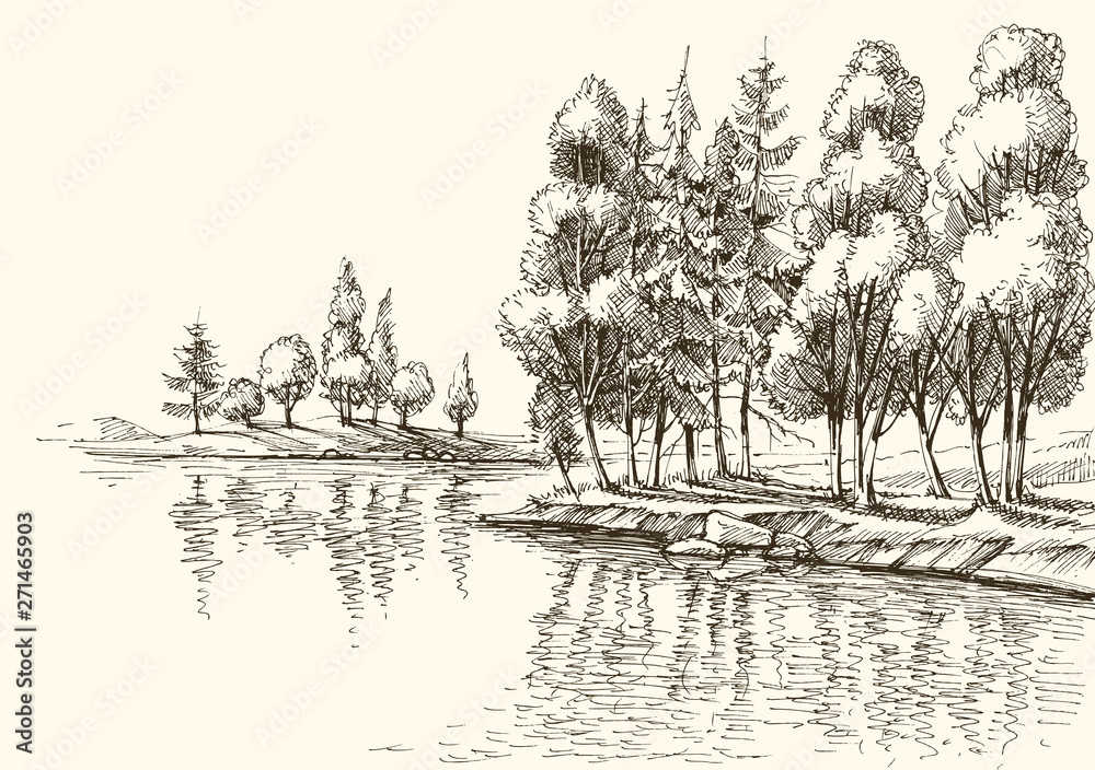 Trees on lake shore or river bank vector drawing Stock Vector | Adobe Stock