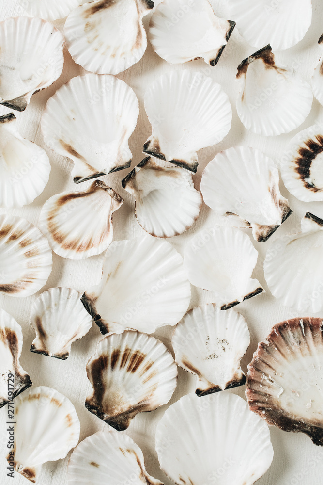 Sea shells pattern on white background. Flat lay, top view minimal ...
