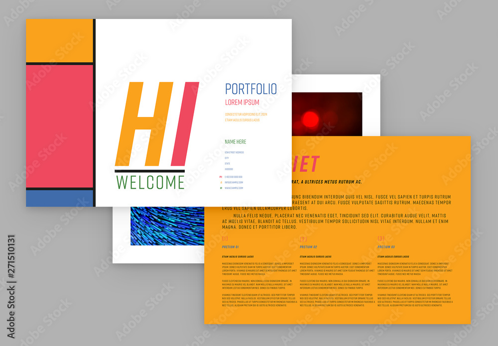 Color Blocked Portfolio Layout Stock Template | Adobe Stock