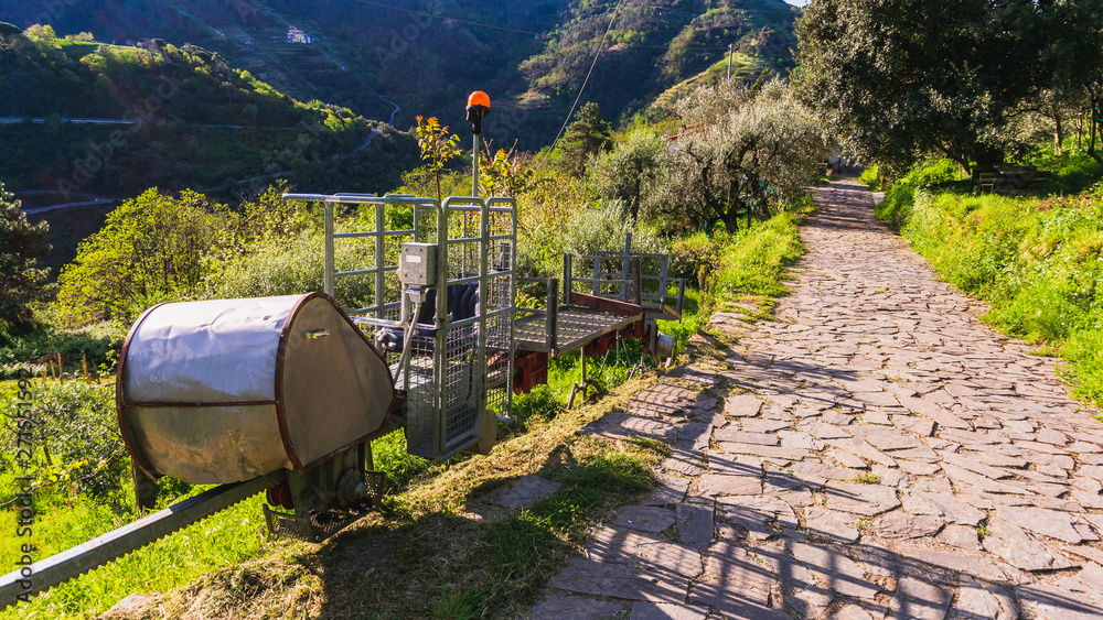 Monorail train used to transport tools, grapes and olives next to a ...