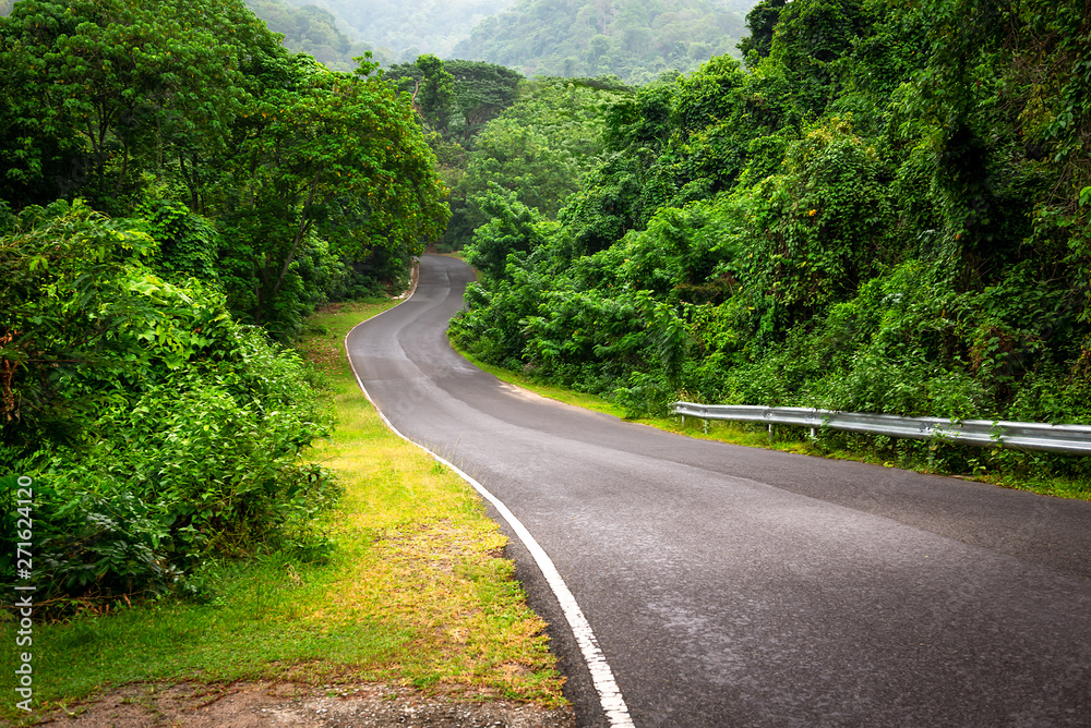 Single lane asphalt road pass through the forest Stock Photo | Adobe Stock