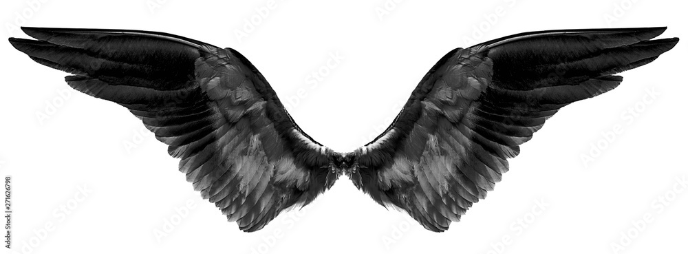 black wings on a white Stock Photo | Adobe Stock