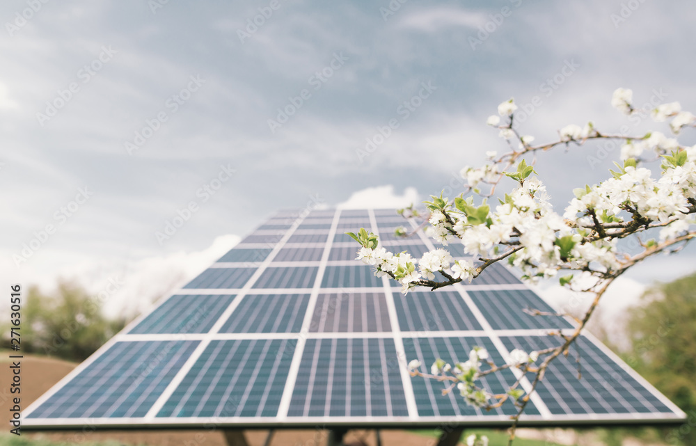 Spring flower of a tree on the background of solar panels in the garden ...