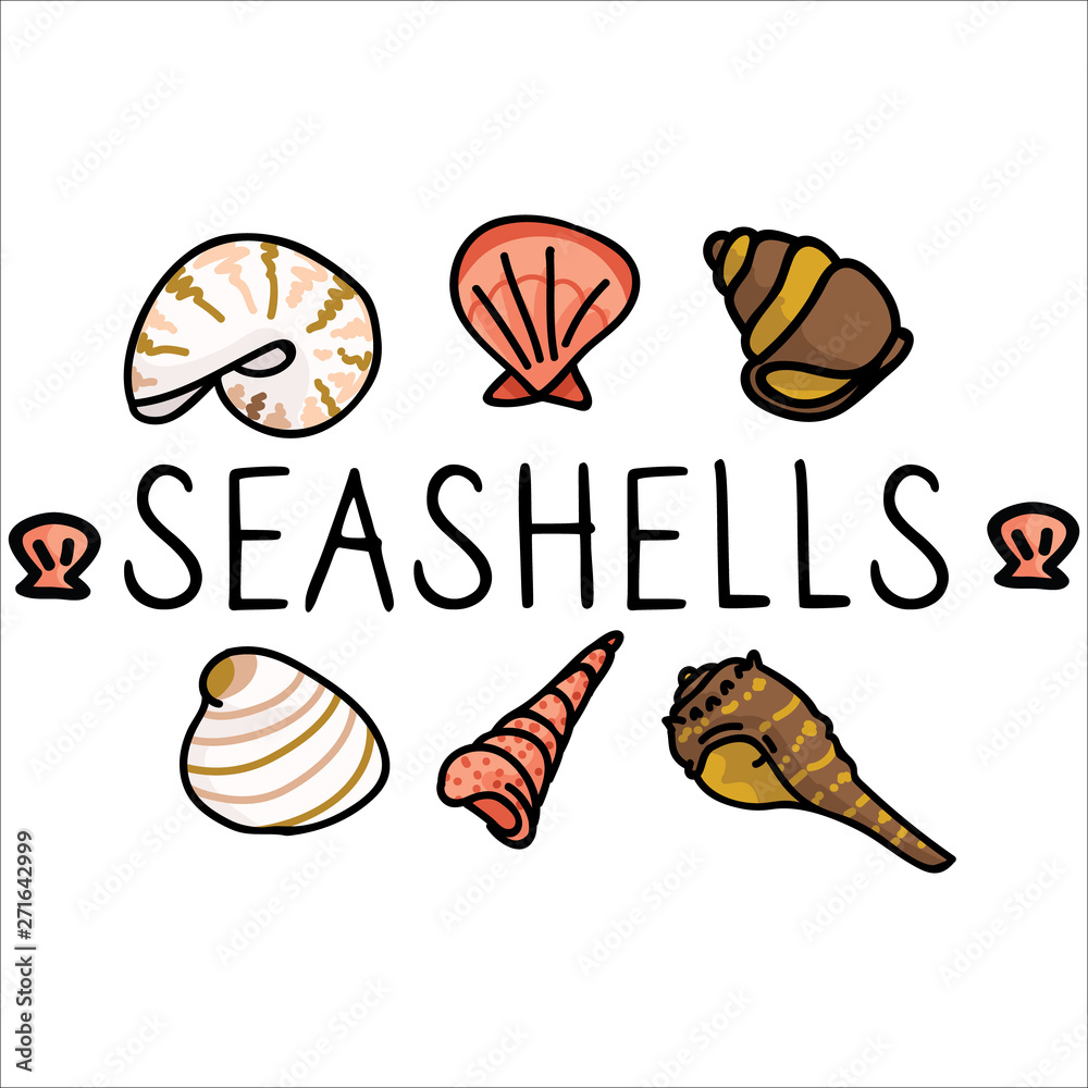 Cute seashell text cartoon vector illustration motif set. Hand drawn ...