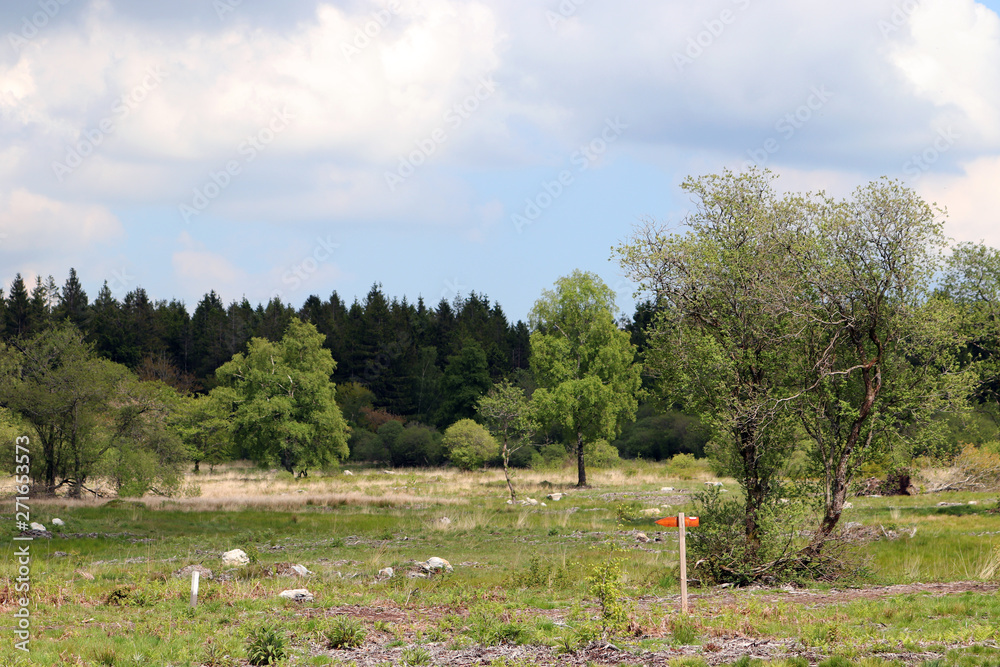 Le ciel se couvre sur les Hautes Fagnes de Belgique Stock Photo | Adobe ...