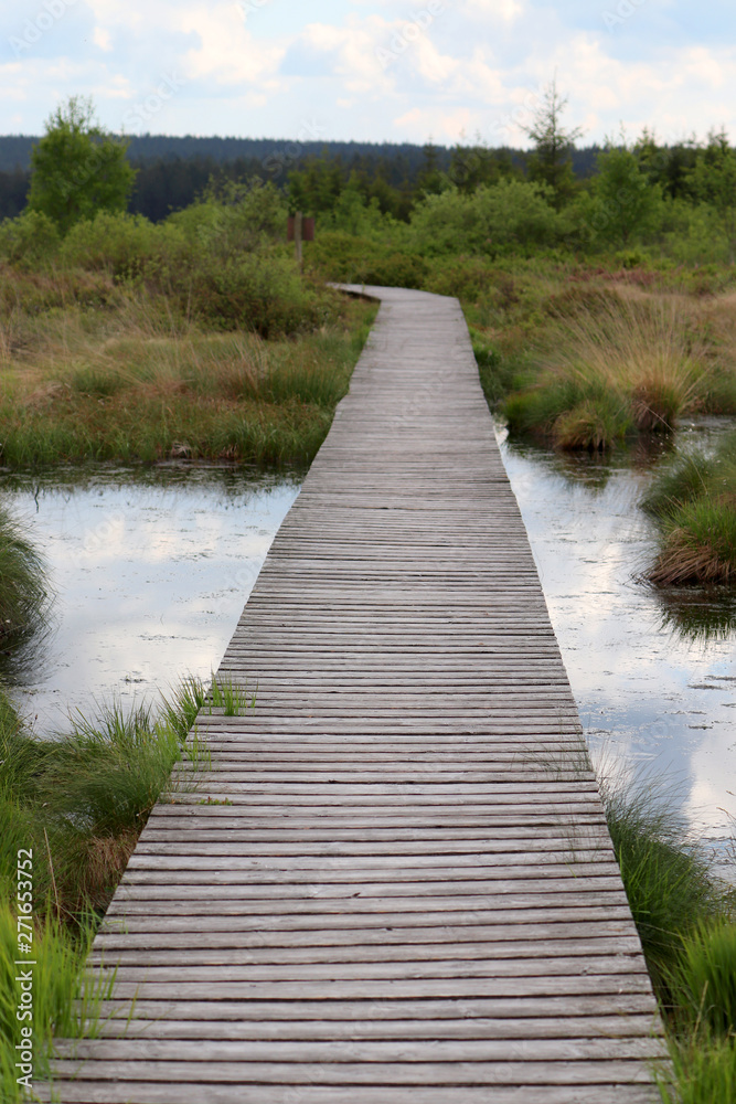 Sur le chemin des Hautes Fagnes en Wallonie Stock Photo | Adobe Stock