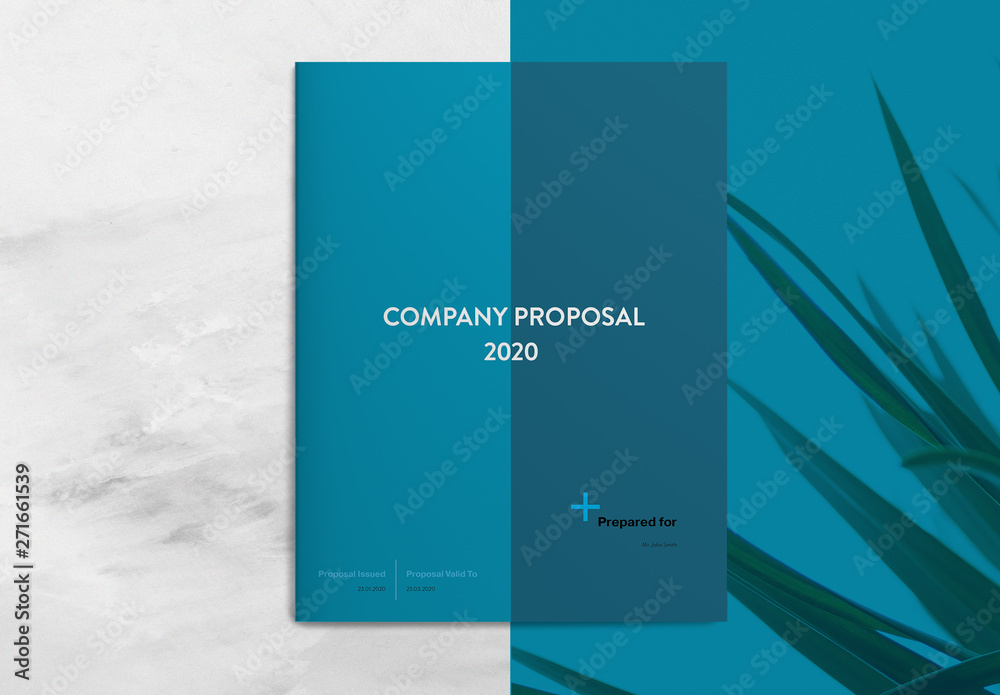 Company Proposal Layout with Blue Accents Stock Template | Adobe Stock