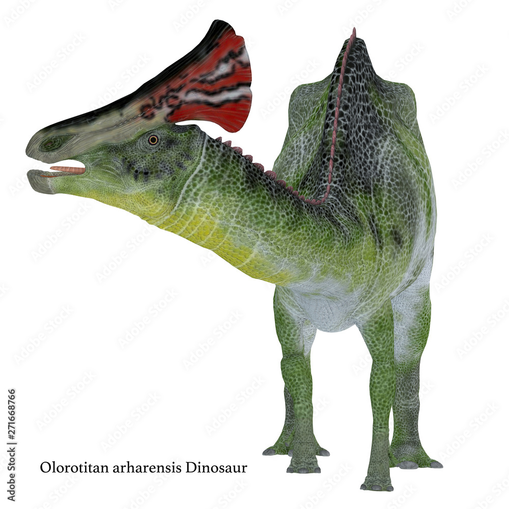 Olorotitan Dinosaur Crest with Font - Olorotitan was a duckbill crested ...