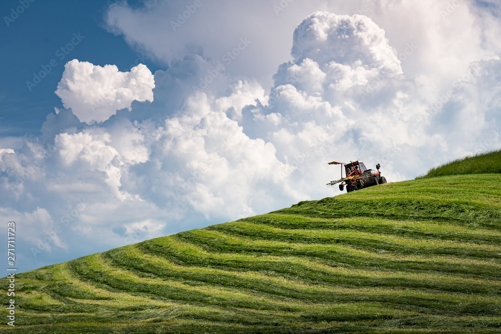 Heuernte vor dem Gewitter Stock-Foto | Adobe Stock