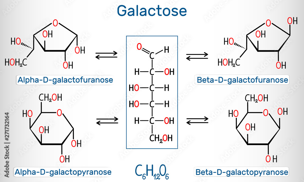 Tautomeric forms of D-galactose, milk sugar. Alpha-D- galactofuranose ... Tautomeric forms of D-galactose, milk sugar. Alpha-D- galactofuranose ...