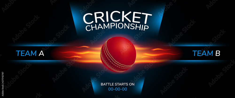 Cricket vector background. Sportive design style banner Stock Vector ...