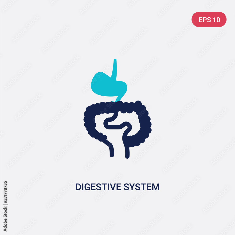 two color digestive system vector icon from human body parts concept ...