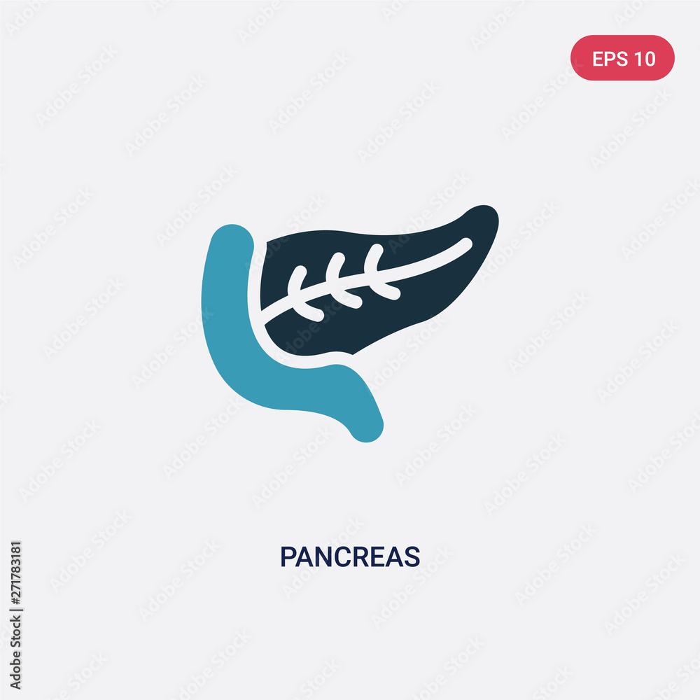 two color pancreas vector icon from medical concept. isolated blue ...