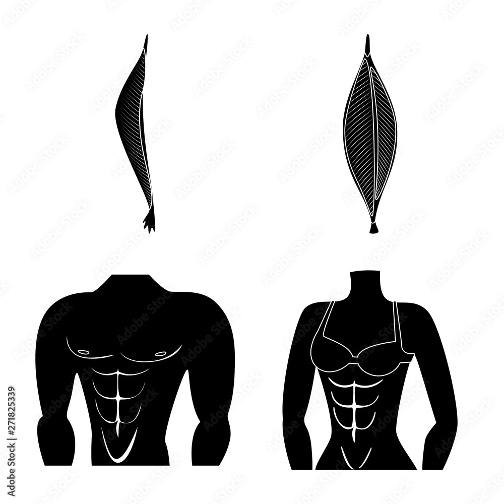 Vector illustration of human and body symbol. Set of human and cells ...