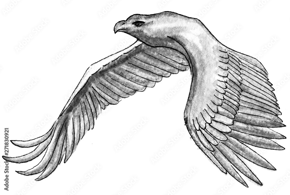 freehand drawing of an eagle symbol of freedom Stock Illustration ...