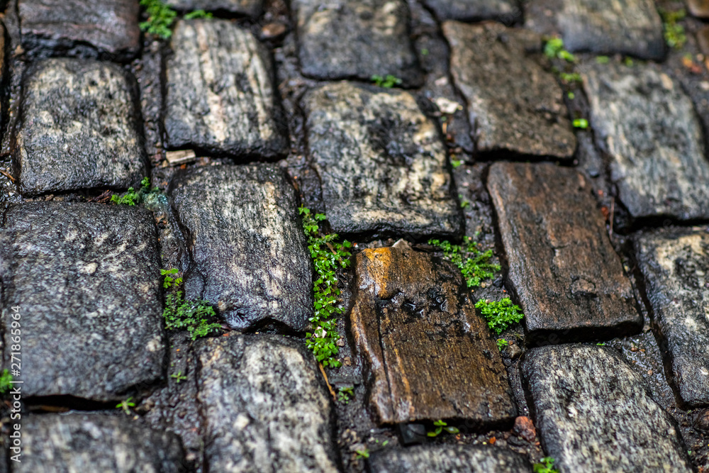 Stone pavement texture. Granite cobblestoned pavement background ...