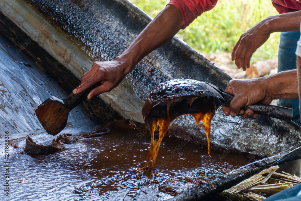 Foto de produccion de piloncillo con azucar do Stock | Adobe Stock